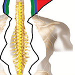 CoreScore - Merivale Chiropractic and Massage Clinic - Ottawa ON